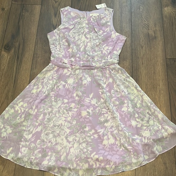 Christopher & Banks | Dresses | Christopher Banks Lavender Dress | Poshmark